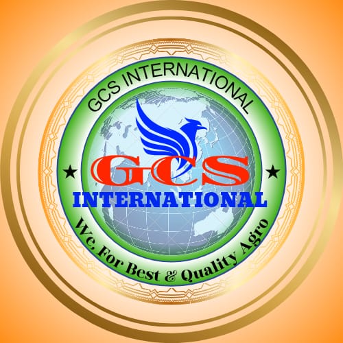 GCS INTERNATIONAL